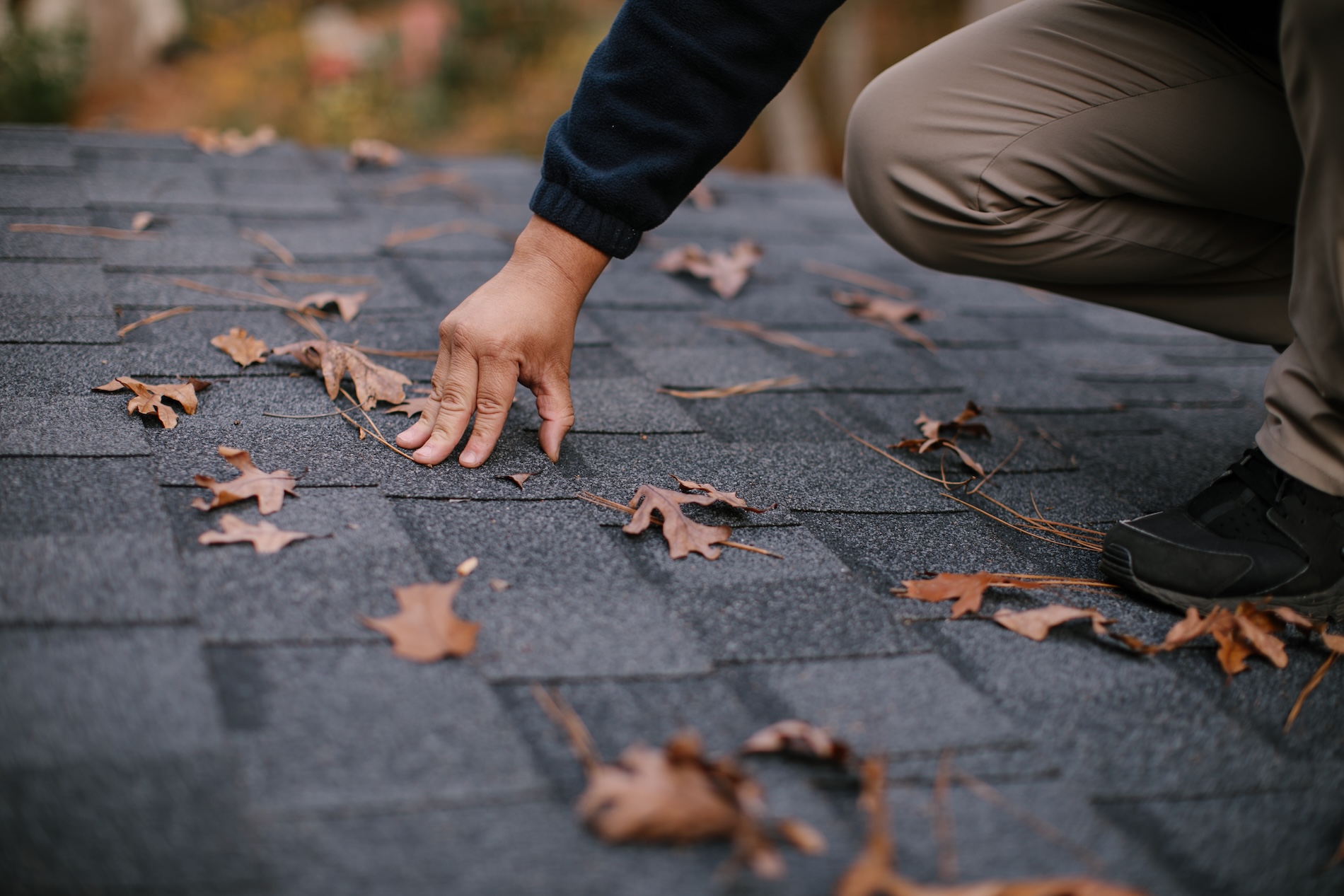 Questions to Ask for Shingle Roof Replacement